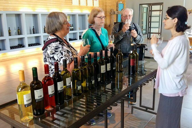 Wine Trails Private Tour/ Nemea visit 3 wineries from Athens or Nafplion (10 h) - Key Points  