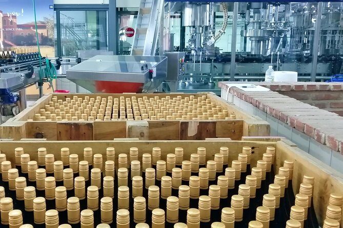 Wine Trails Private Tour/ Nemea visit 3 wineries from Athens or Nafplion (10 h) - What We Love About This Tour