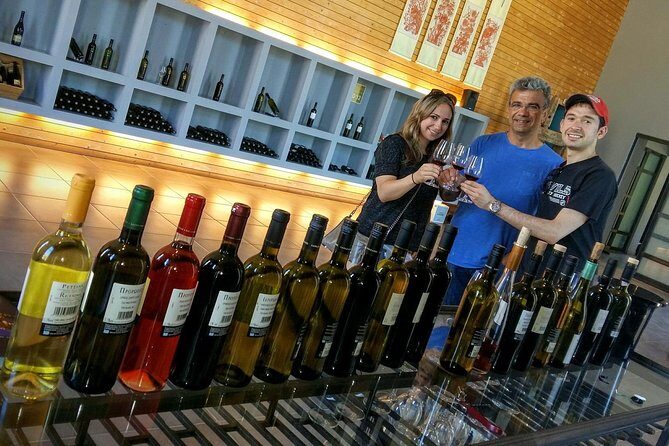 Wine Trails Private Tour/ Nemea visit 3 wineries from Athens or Nafplion (10 h) - Who Is This Tour Best For?
