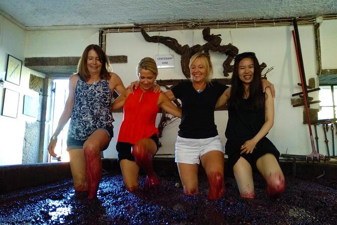 Wine Venture and Boat Trip in Douro Valley from Porto - FAQ