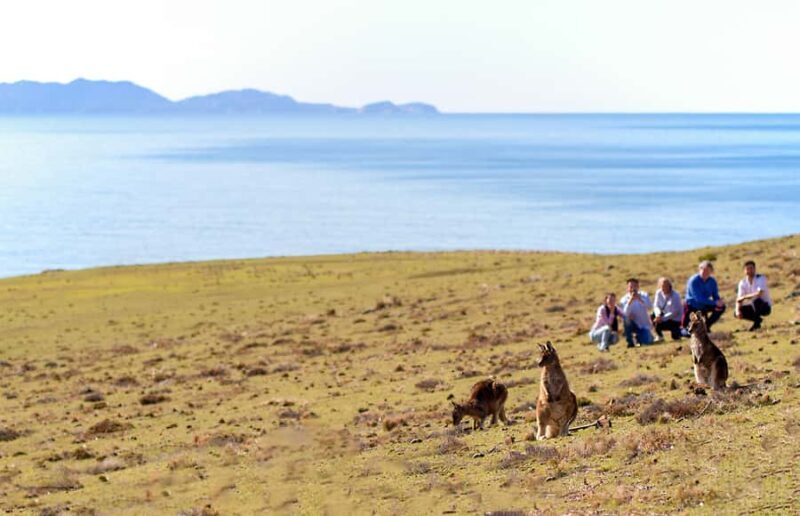 Wineglass Bay and Maria Island Scenic Flight Experience - An Overview of the Scenic Flight Experience