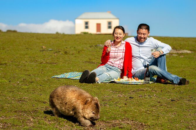 Wineglass Bay And Maria Island Wildlife Scenic Flight From Hobart - An In-Depth Look at the Experience