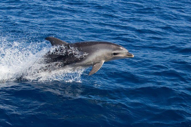 Wineglass Bay Cruise from Coles Bay - Accessibility and Comfort