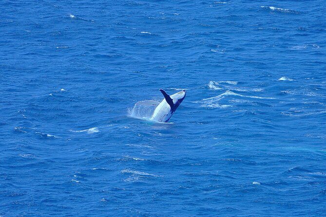 Wineglass Bay & Freycinet NP Full Day Tour from Hobart via Richmond Village - FAQ