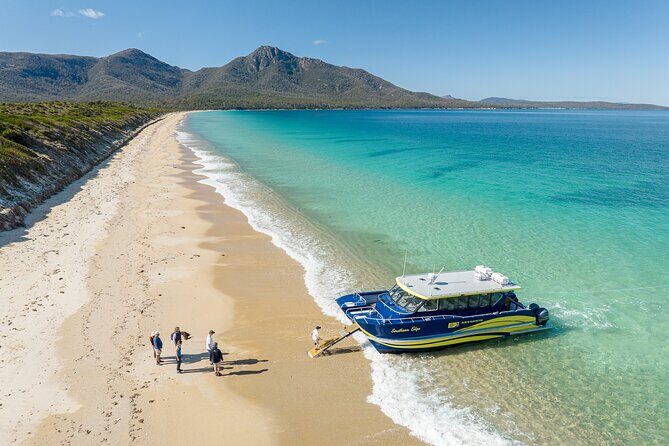 Wineglass Bay Shared Cruise and Walking Tour - Key Points  
