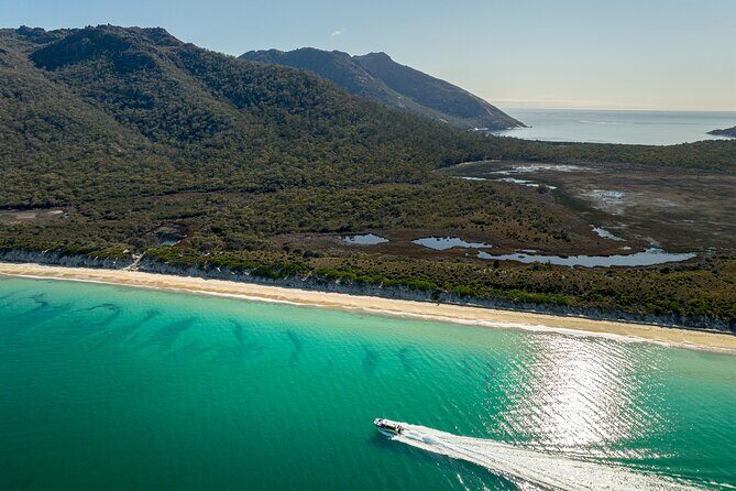 Wineglass Bay Shared Cruise and Walking Tour - Practical Details: What You Need to Know