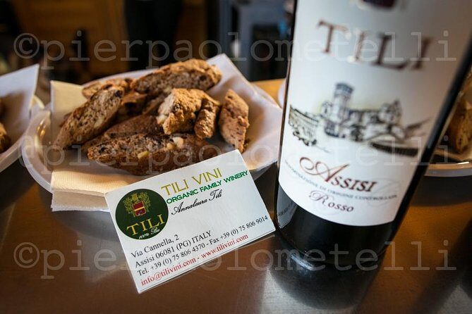 Winemaker for a Day: Tour an Organic Winery - A Deep Dive into the Assisi Organic Winery Experience