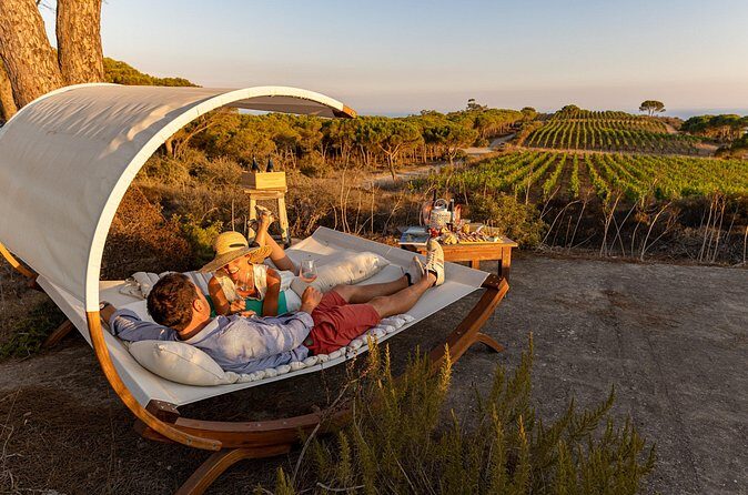 Winemaker's Alcove at Tenuta delle Ripalte - Final Thoughts