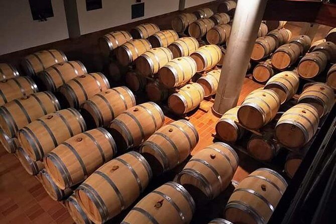 Winery tasting in Marsala and Mothia lagoon tour - What to Expect from the Tour