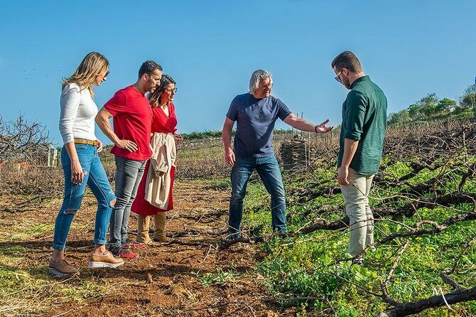 Winery Tour and Tasting in Tenerife with the Sommelier - What to Expect During the Tour