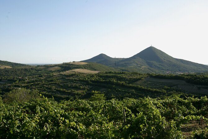 Winery Tour and Tasting on Padua Hills - Exploring the Itinerary