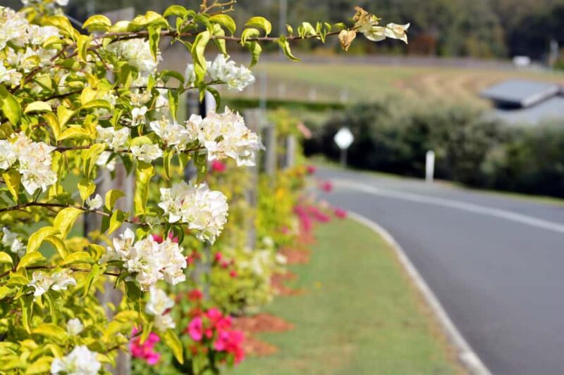 Winery Tour and Tasting - The Sum Up