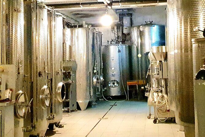 Winery Tour and Tasting with the Sommelier in KRK - Duration and Practicalities