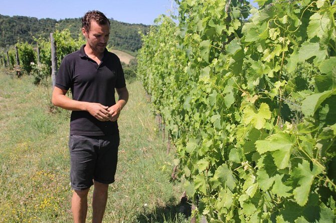 Winery tour and wine, cheese & charcuterie tasting - The Itinerary in Detail