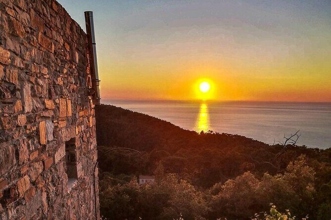 Winery Tour and Wine Tasting at Karimalis Winery in Ikaria - Who Should Consider This Tour?