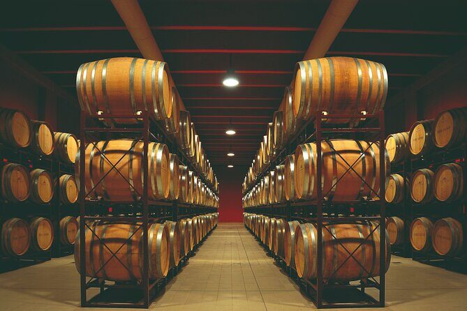 Winery Tour and Wine Tasting in Montepulciano d'Abruzzo - Exploring the Itinerary in Depth