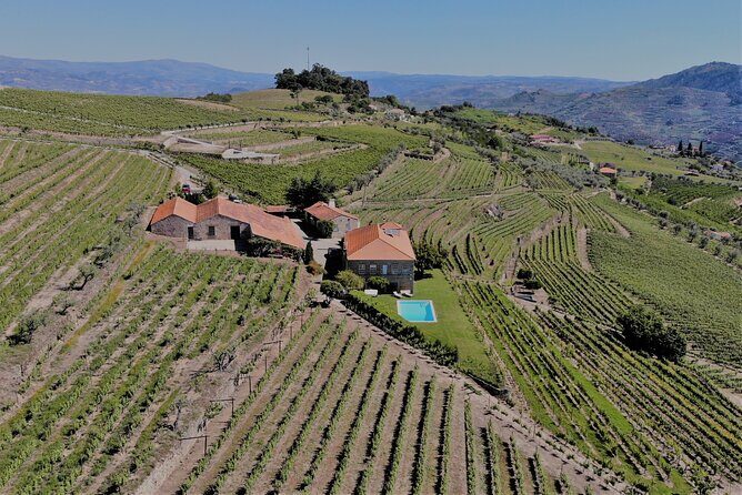 Winery Tour and Wine Tasting Quinta da Portela de Baixo in Lamego - Pricing and Overall Value