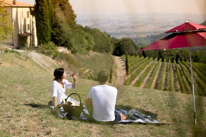 Winery Tour & picnic in the vineyard with a bottle of wine - Who Is This Tour Best Suited For?
