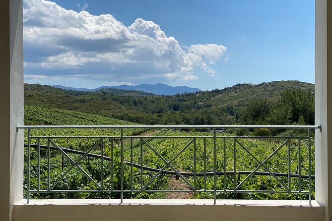 Winery Tour, Tasting and cooking with the Winemaker in Rhodes - Final Thoughts