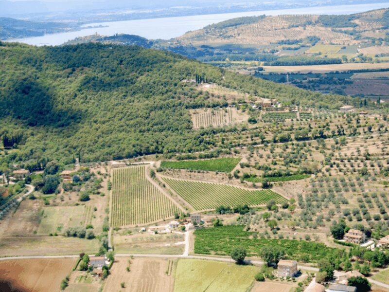 Winery Tour & Tasting near Lake Trasimeno & Perugia - Practical Tips for Visiting