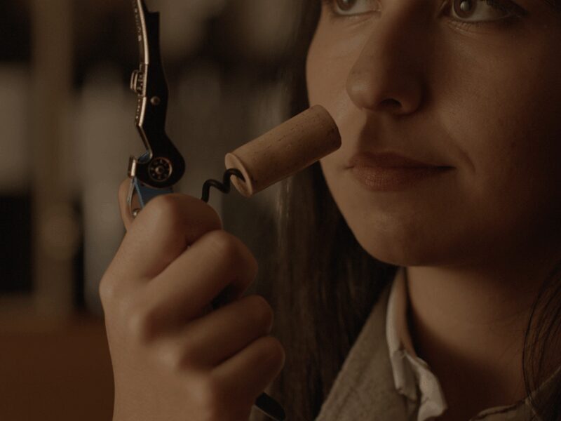 Winery Tour & Tasting near Lake Trasimeno & Perugia - The Sum Up: Who Will Love This Tour?