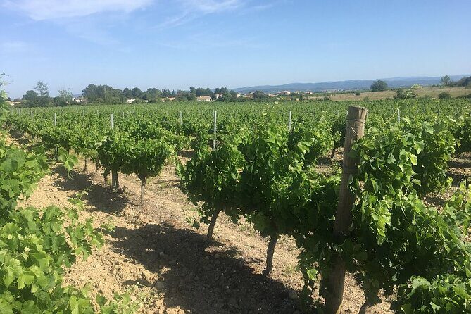 Winery Tour & Wine Tasting - Deli Plate & 3 Wines - An In-Depth Look at the Winery Tour & Tasting Experience