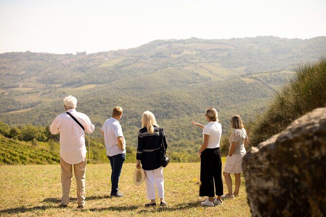 Winery tour & wine tasting in Montalcino - Key Points