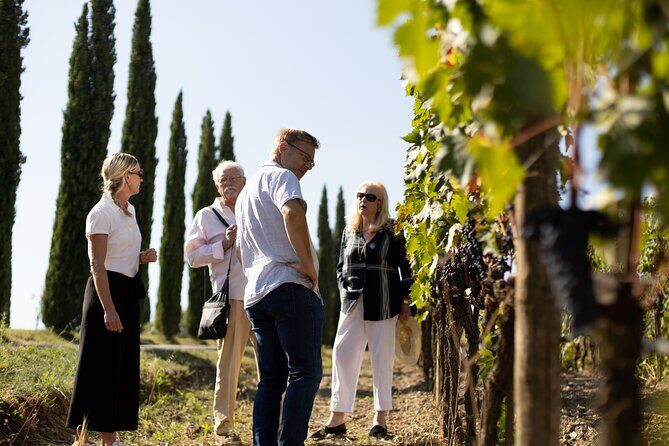Winery tour & wine tasting in Montalcino - Who Should Consider This Tour?