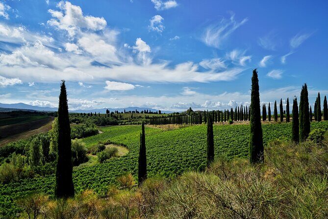 Winery tour & wine tasting in Montalcino - FAQ