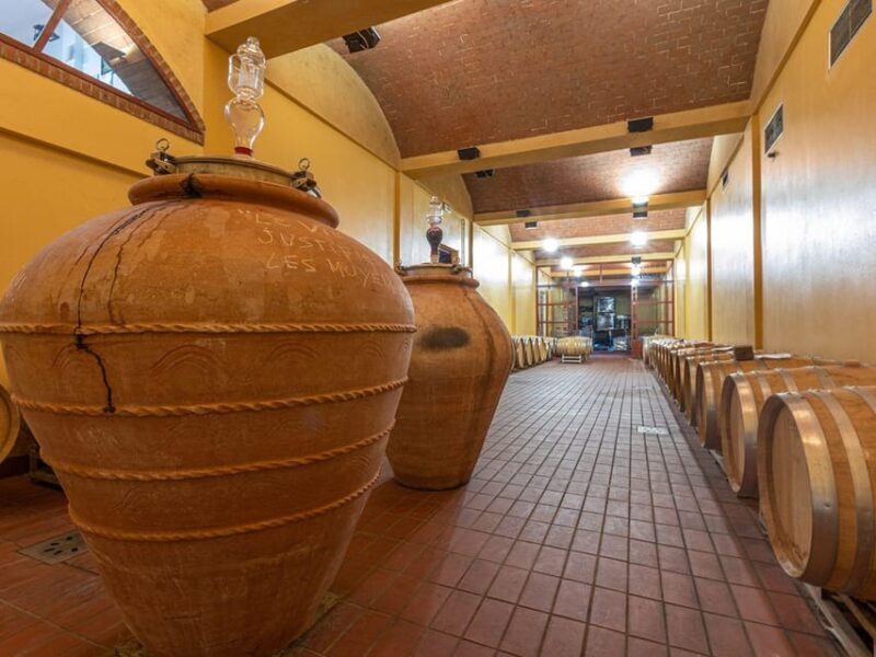 Winery Tour & Wine Tasting with Food near Livorno & Pisa - Is it Worth the Price?