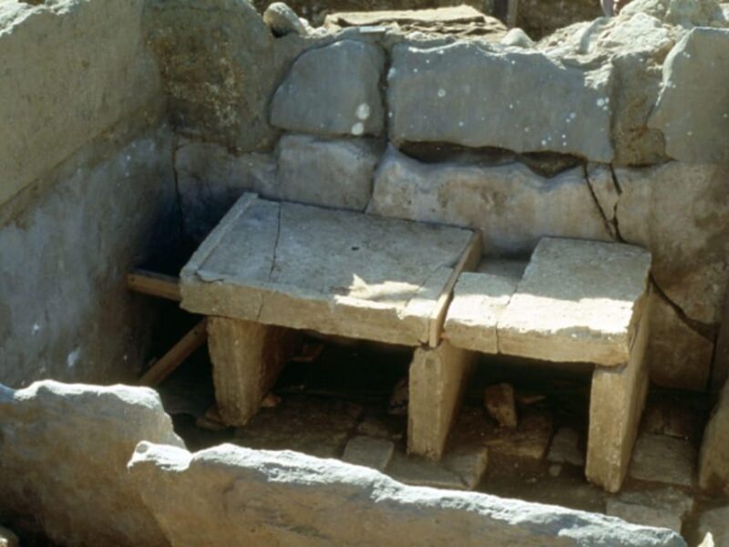 Winery Tour & Wine Tasting with Food near Livorno & Pisa - Who Would Love This Tour?