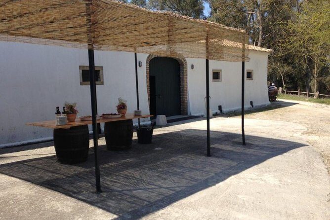 Winery tour with Wine and Olive tasting in Corfu - Final Thoughts on Value and Suitability