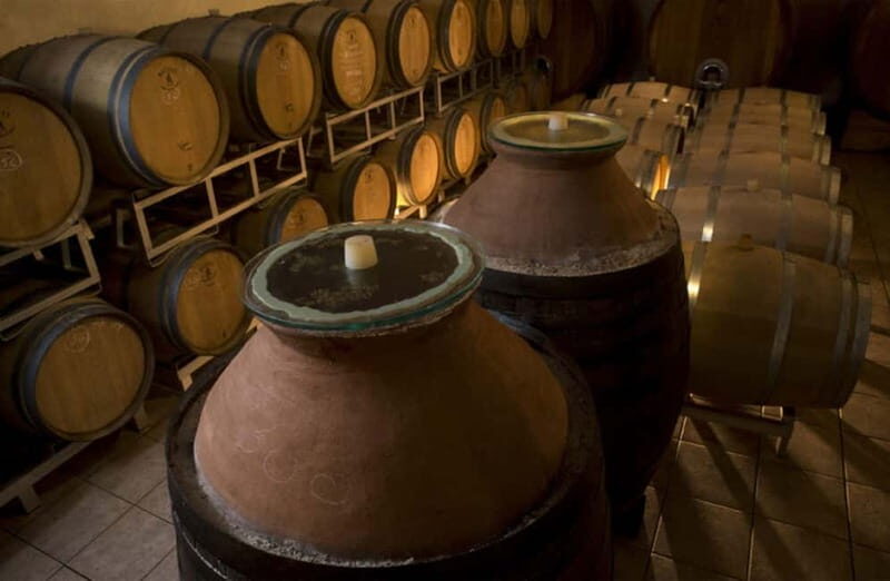 Winery Tour with Wine & Food Tasting near Riccione & Rimini - The Main Event: Wine & Food Tasting