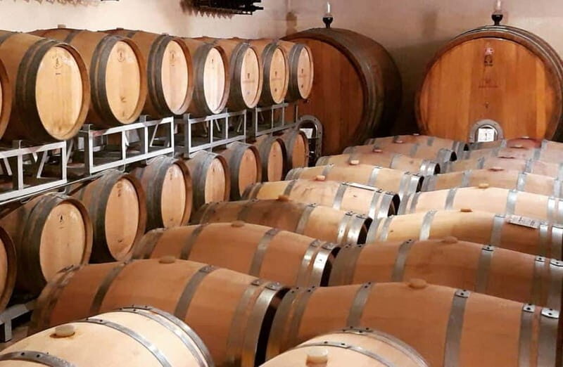Winery Tour with Wine & Food Tasting near Riccione & Rimini - Additional Considerations