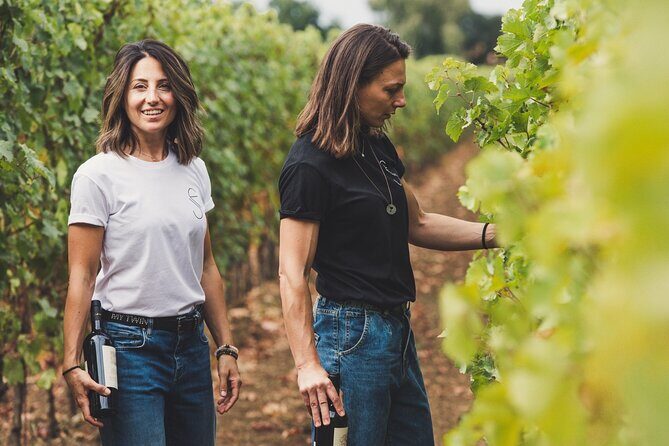 Wines and flavors of Bolgheri territory - What Makes This Tour Stand Out?  