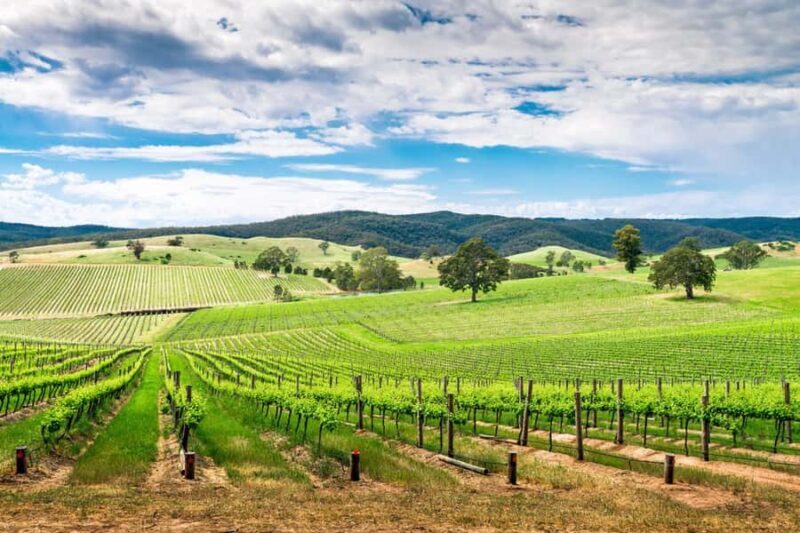 Wines and Whispers: A Barossa Valley Wine Tour from Adelaide - Key Points