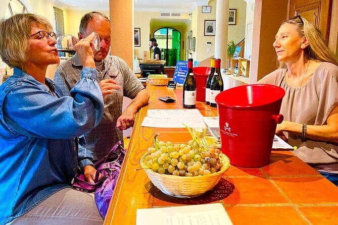 Wines from Châteauneuf-du-Pape and surrounding areas in 1/2 day - Practical Tips for Your Trip