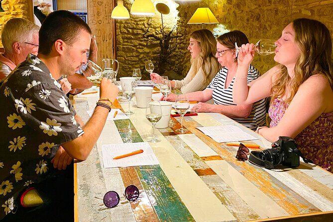 Wines from Châteauneuf-du-Pape and surrounding areas in 1/2 day - Who Would Enjoy This Tour?