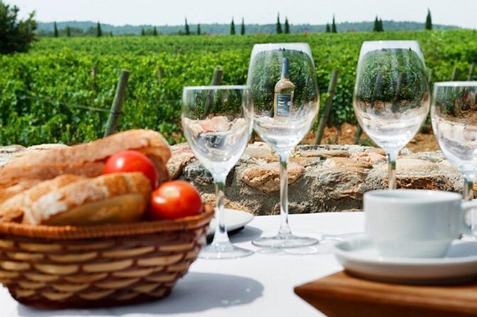 Wines Tasting and Typical Breakfast Small Group Tour from Girona - Key Points