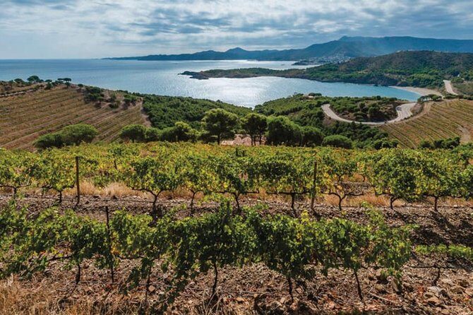 Wines Tasting and Typical Breakfast Small Group Tour from Girona - The Detailed Itinerary
