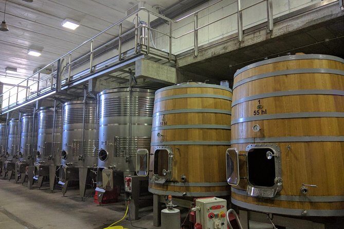 Wines Tasting and Typical Breakfast Small Group Tour from Girona - Authentic Experiences and Review Insights