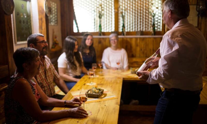 Winetasting with tour through the winery - Who Should Consider This Experience?