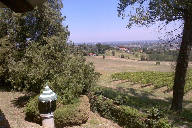 Winetour and tasting on Bologna hills, guided by the wine grower - Final Thoughts