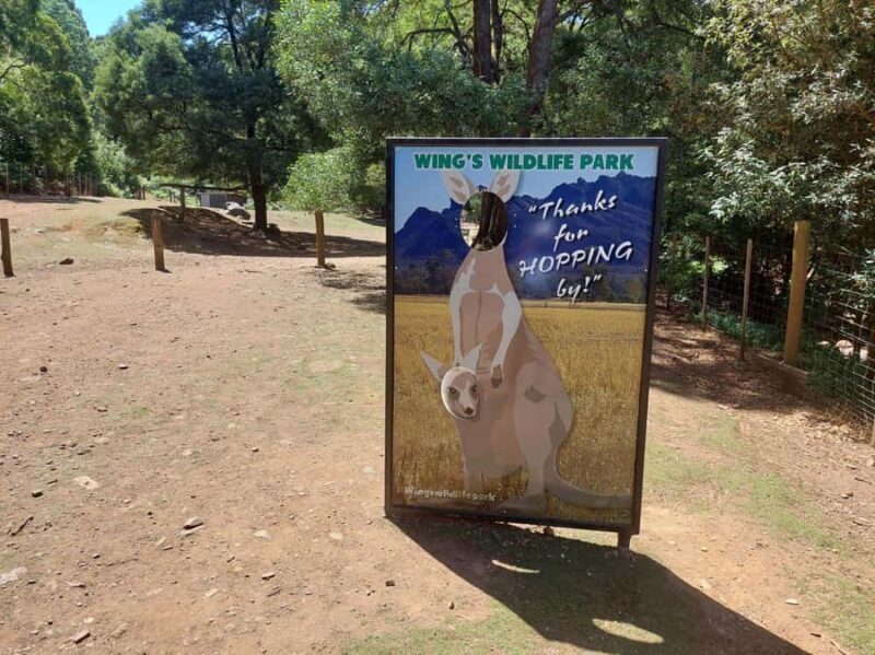 Wings Wildlife Park Burnie Shore Excursion - Whats the Verdict? Is It Worth It?