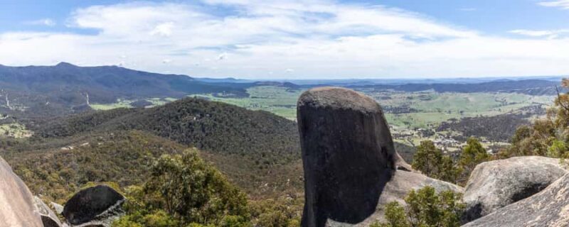 Wings & Wilds of Canberra Tidbinbilla Half-Day Private Tour - Key Points