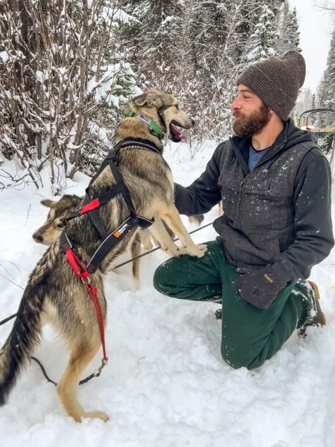 Winter Dog Sled Tour Day or Night Mush! - Key Points
