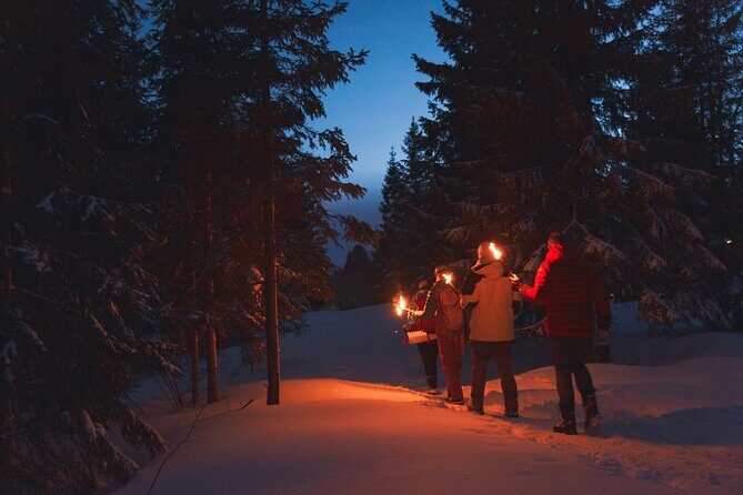 Winter Forest Walk and Campfire by Torchlight in Oslo - Exploring Oslo’s Winter Forest Walk and Campfire Tour