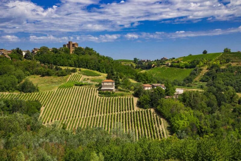 Winter Games Vineyards Milans Perfect Wine Tasting - An Authentic Day in Italy’s Hidden Wine Wonderland