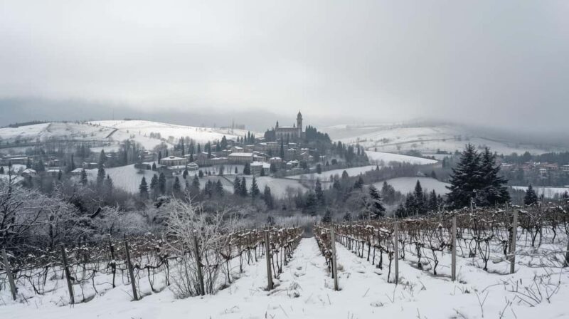 Winter Games Vineyards Milans Perfect Wine Tasting - Hands-On: Bottling Your Own Wine