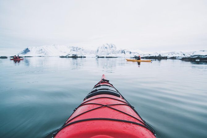 Winter Half Day Kayak Tour - Why You’ll Love the Winter Kayak Tour in Lofoten